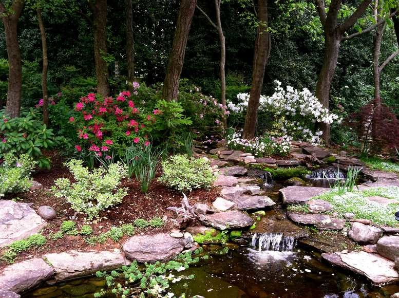 Portfolio - Traditional - Landscape - Charlotte - by All Natural ...