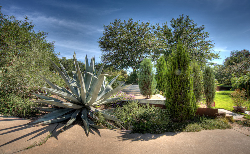 Portfolio - Contemporary - Landscape - Austin - by D-CRAIN Design and ...