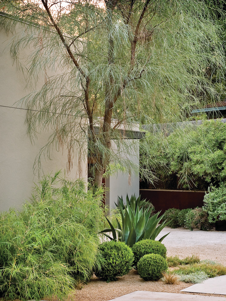 Portfolio - Modern - Landscape - Austin - by D-CRAIN Design and ...