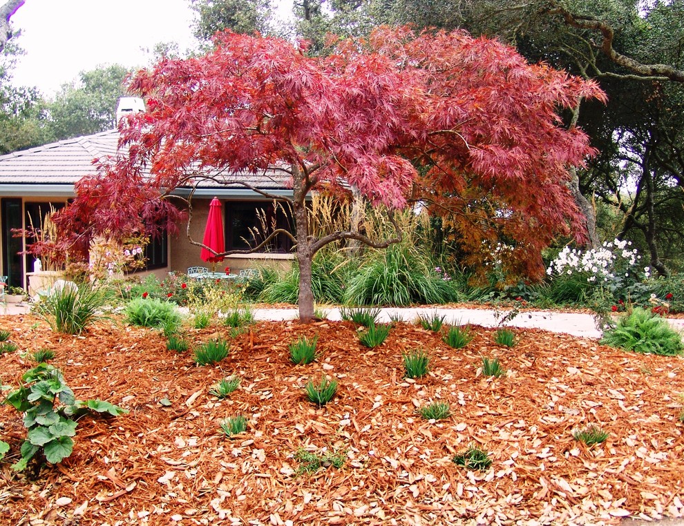 Portfolio - Transitional - Landscape - San Luis Obispo - by Erik Jones ...