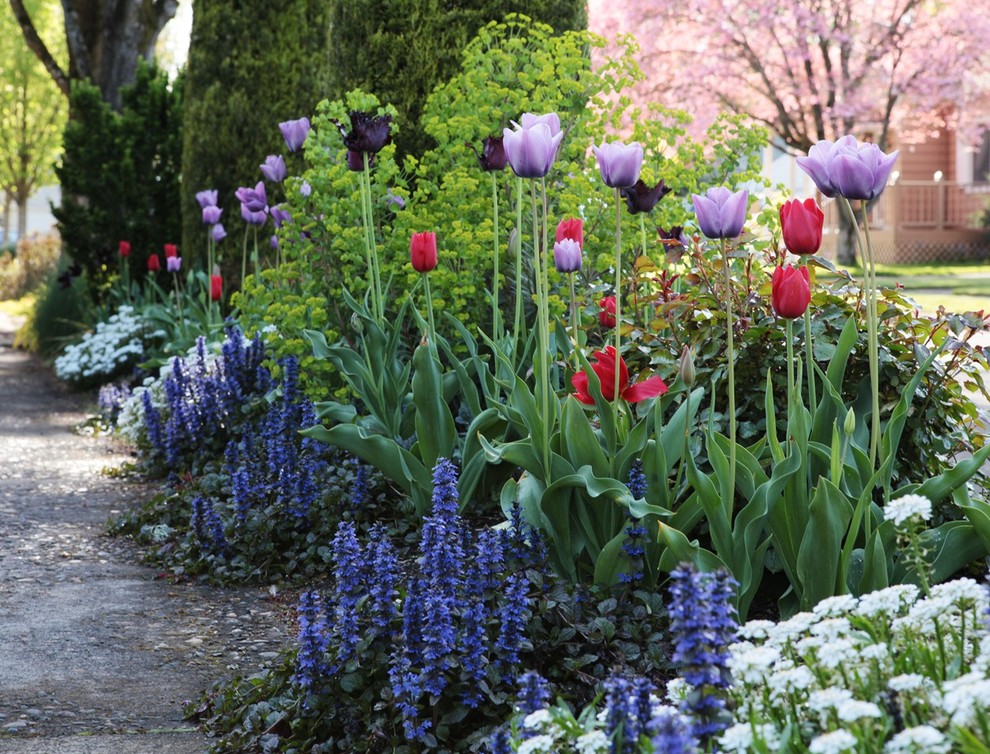 Portland, Oregon Cottage Style Garden Design - Transitional - Landscape ...