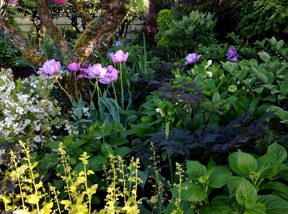 Portland, Oregon Cottage Style Garden Design - Transitional - Landscape ...