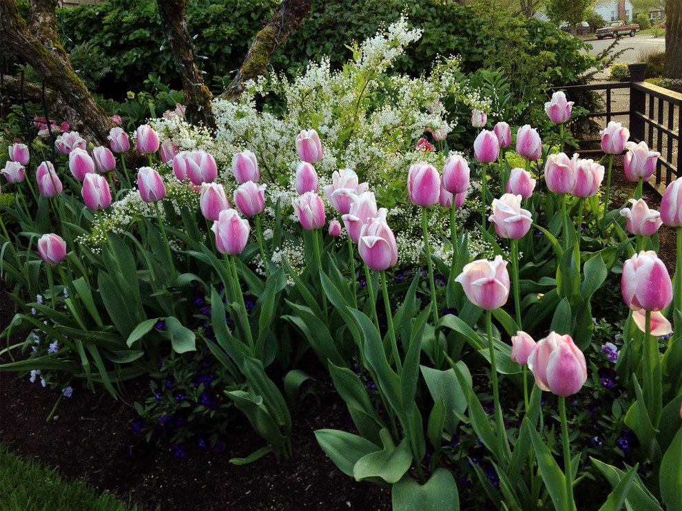 Portland, Oregon Cottage Style Garden Design - Transitional - Landscape ...