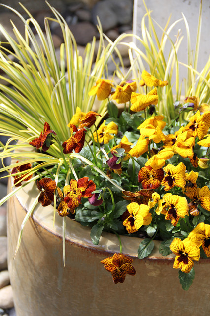 Pottery in the Garden - Contemporary - Garden - Seattle - by Bliss ...