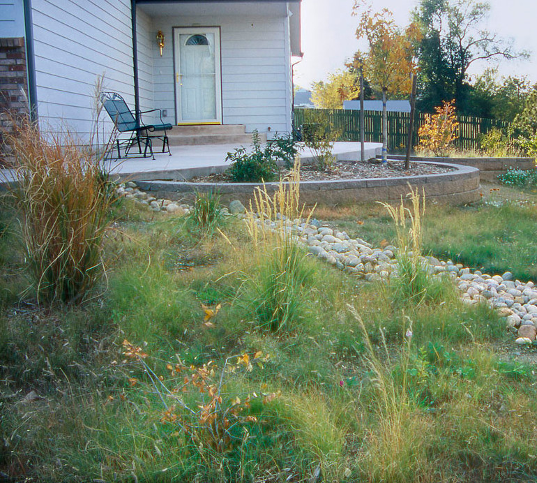 Prairie Yard - Transitional - Landscape - Denver - by Art of the Land ...