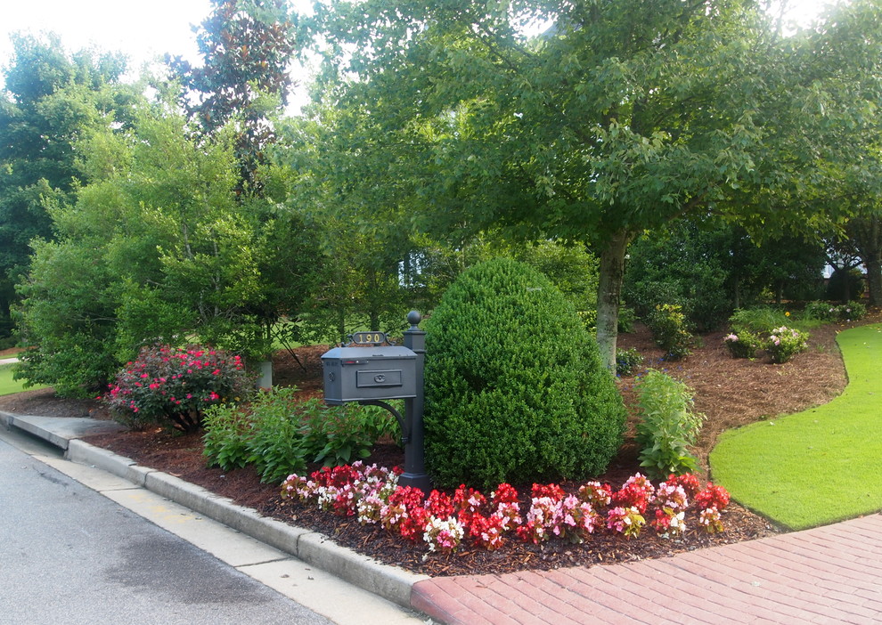 Pretty mailbox area with boxwood, begonias, knock out roses, black eyed ...