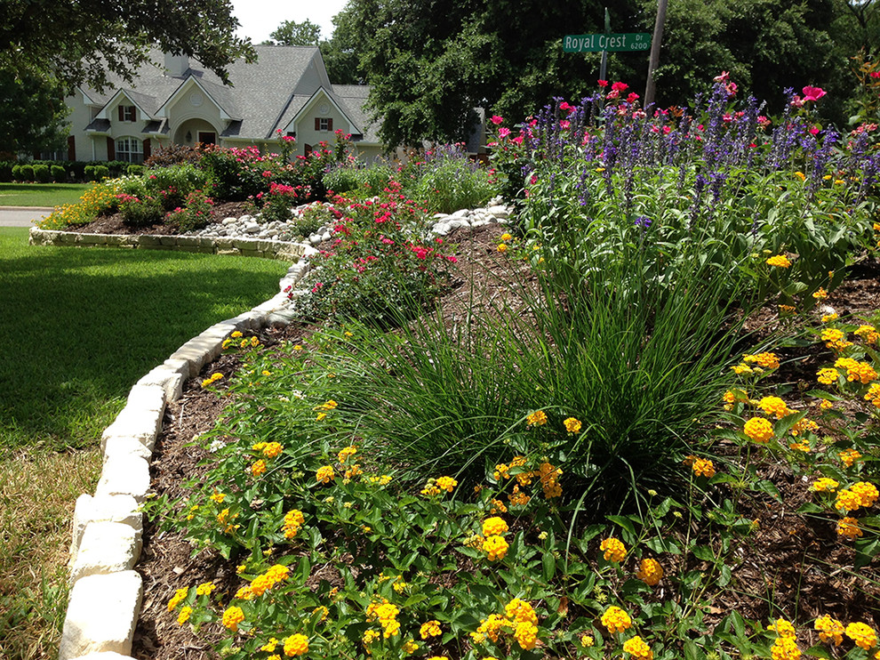 Privacy Berm Landscape Bed - Traditional - Landscape - Dallas - by ...