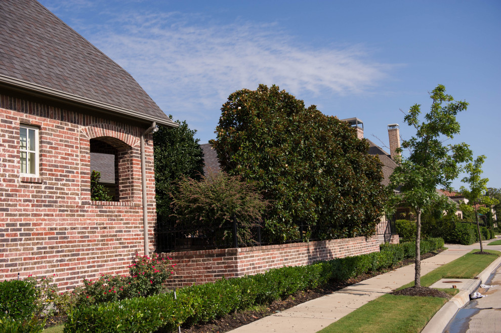 Privacy Screening - Landscape - Dallas - by Treeland Nursery | Houzz