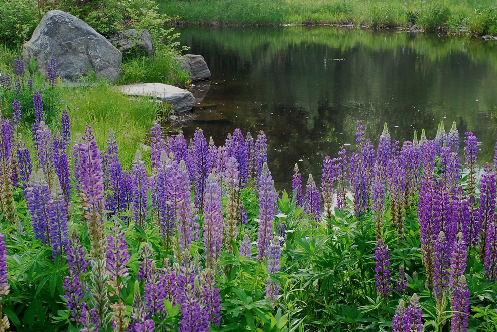 Projects - Landscape - Portland Maine - by Richardson & Associates ...