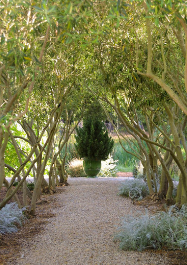 Provencal style farmhouse - Farmhouse - Landscape - Santa Barbara - by ...