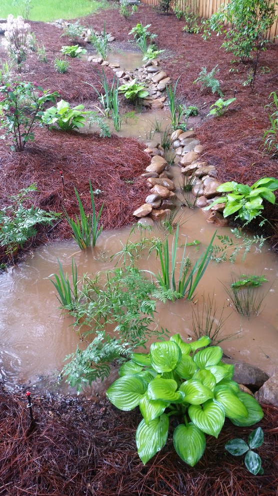 rain gardens & native plants - Farmhouse - Landscape - Atlanta - by ...