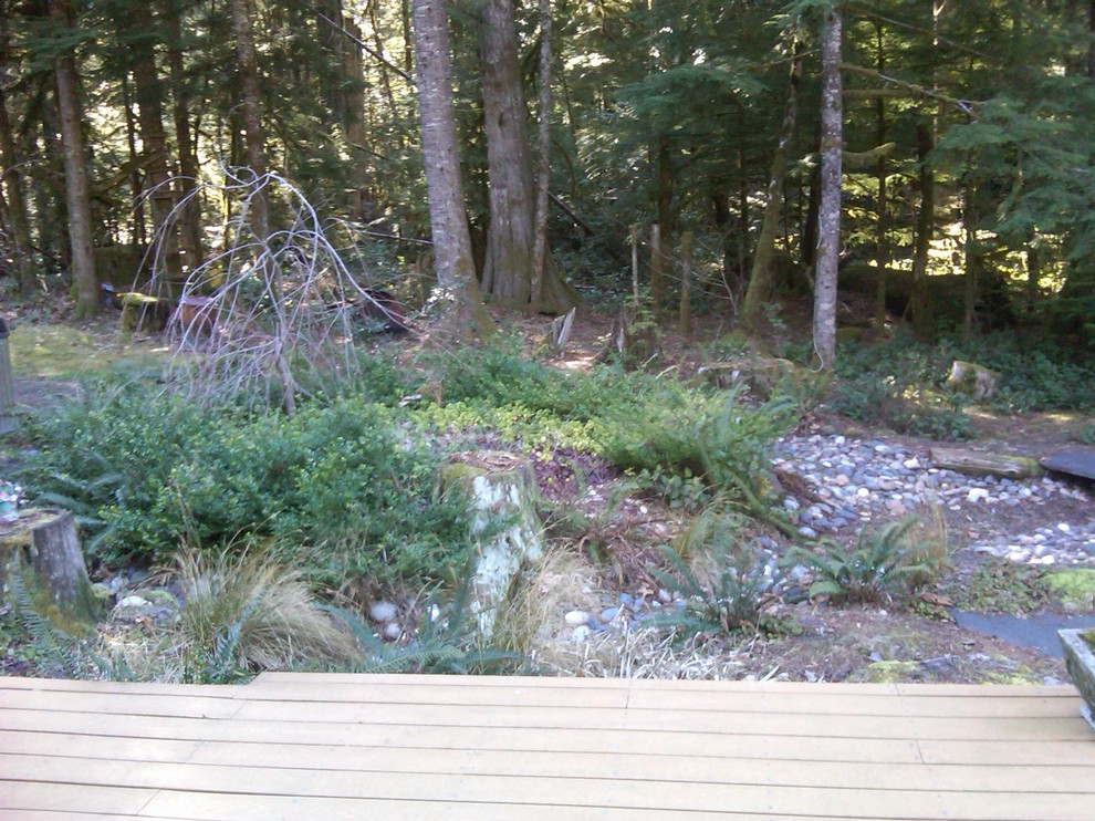 RAIN GARDENS, BIO-SWALES, GREEN DRAINAGE SOLUTIONS - Rustic - Landscape ...