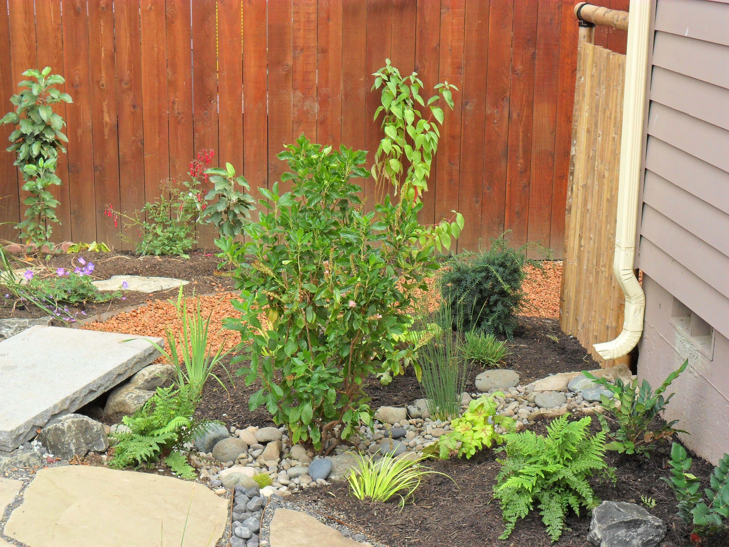 Landscaping Ideas For Wet Areas