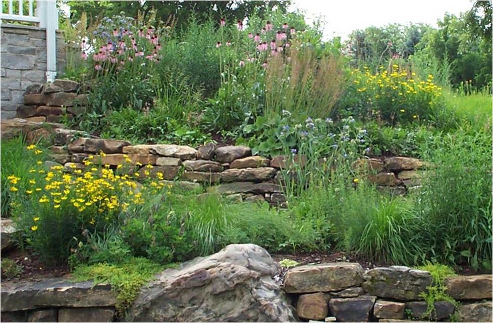 Rainwater Conscious Landscape Features - Landscape - Other - by ...