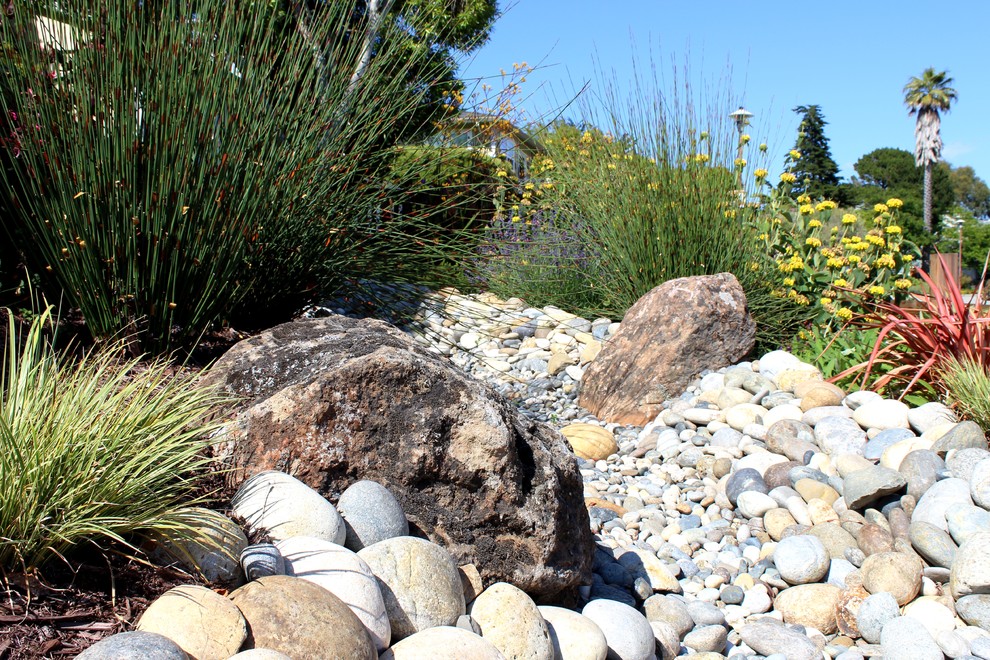 Rainwater Harvesting and Water Conserving - Beach Style - Landscape ...
