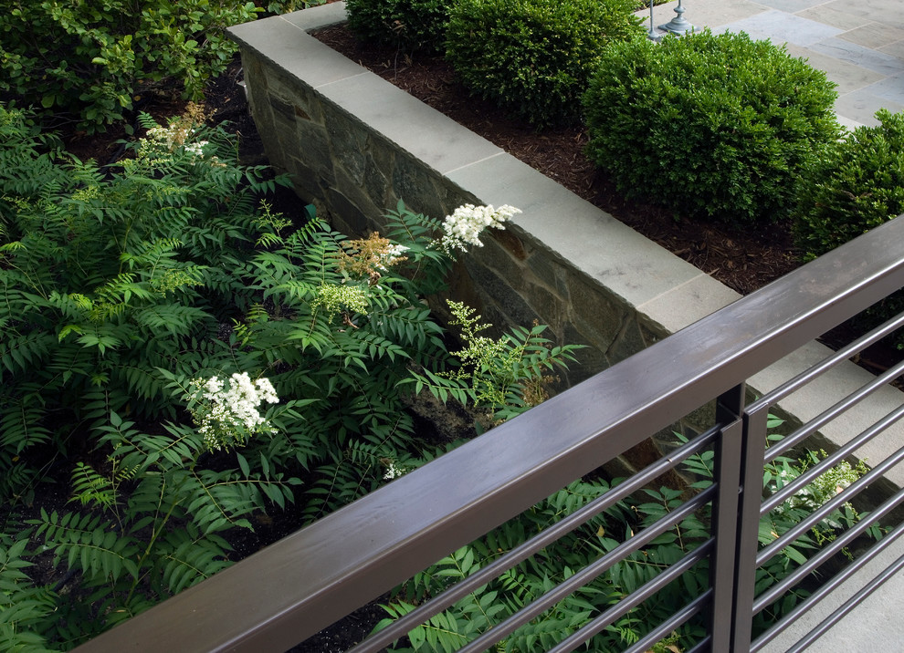 Raised Bluestone Planter Wall - Contemporary - Landscape - Chicago - by ...