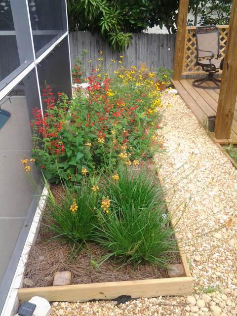 Raised Deck + Pergola Redesign - Traditional - Garden - Miami - by ...