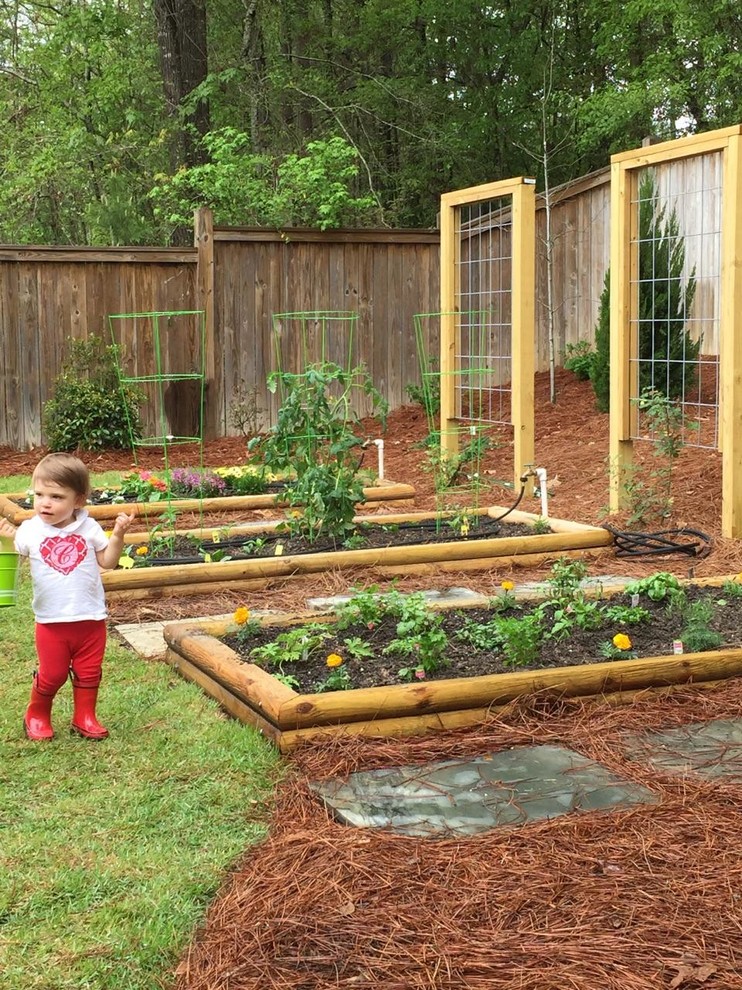 Raised Vegetable Garden and Trellises - Traditional - Garden ...