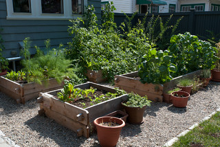 Raised vegetable garden - Eclectic - Landscape - Boston - by ...