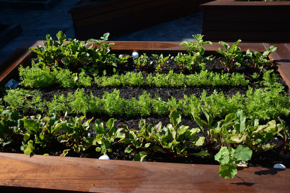 Raised Vegetable / Ornamental Garden 2015 - Transitional - Landscape ...