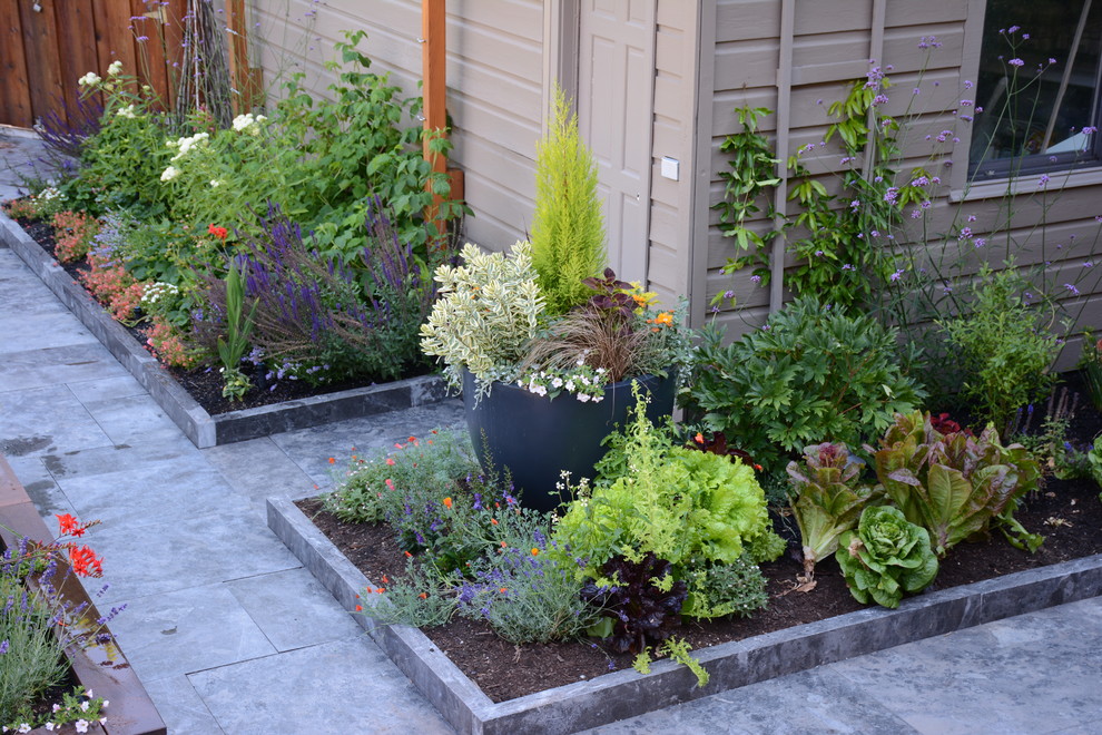 Raised Vegetable / Ornamental Garden 2015 - Transitional - Landscape ...