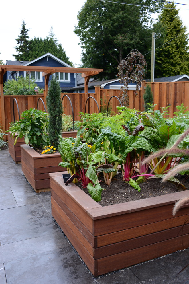 Raised Vegetable / Ornamental Garden - Transitional - Landscape ...