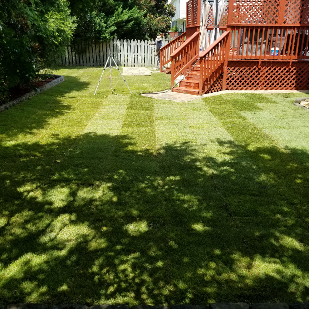 Ramos Backyard - Traditional - Landscape - Raleigh - by Haul and ...