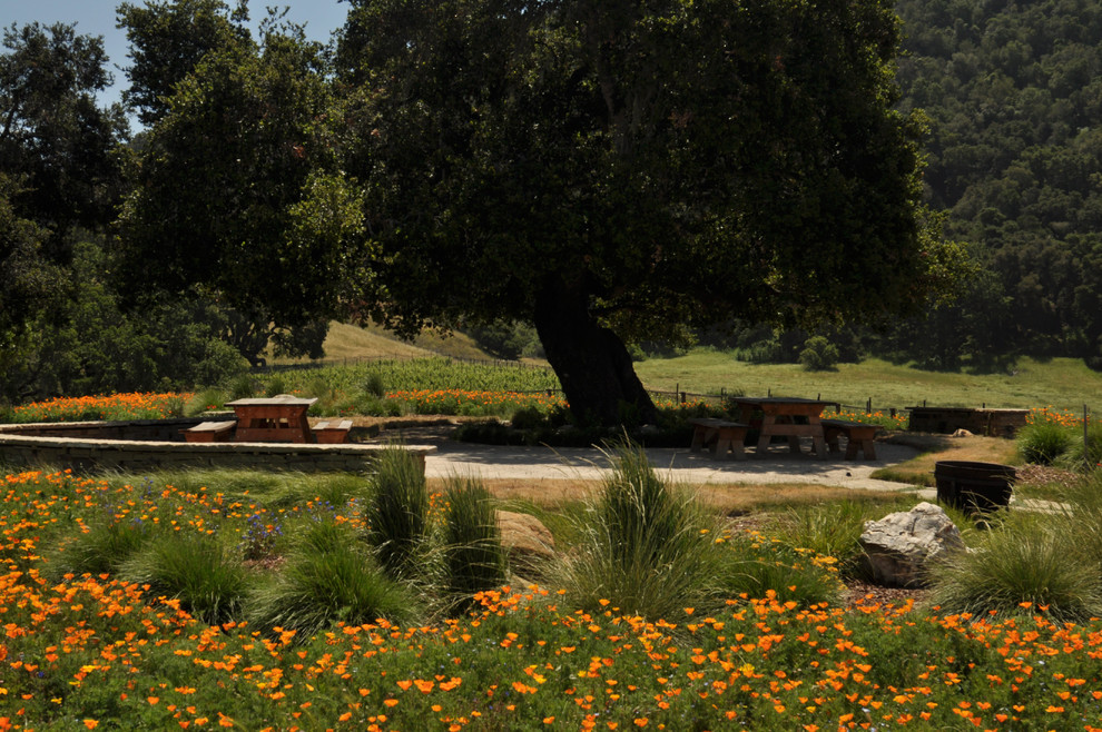 Ranch Picnic Entertainment Area - Farmhouse - Landscape - Santa Barbara ...