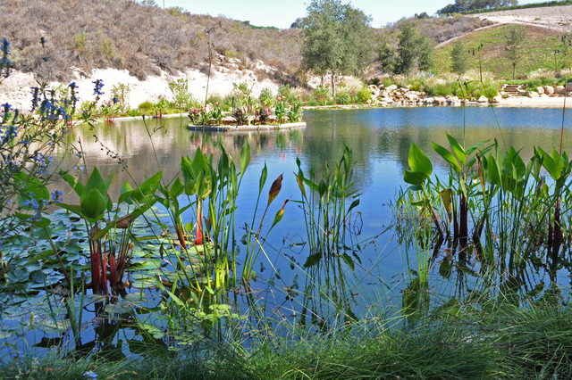 Ranch Reservoir & Nectar Garden w/ BioHaven Floating Island ...