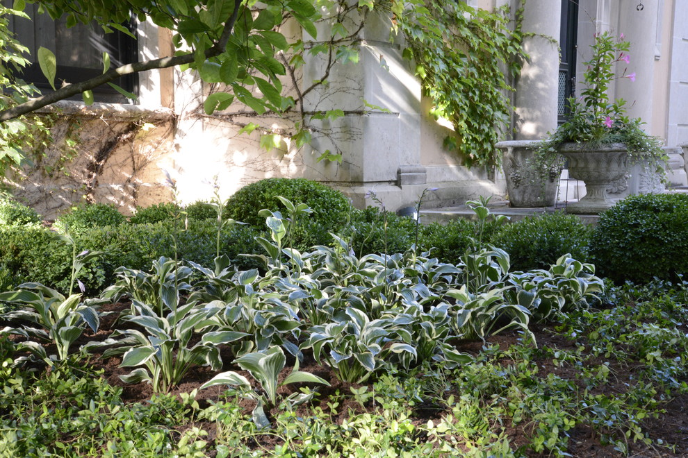 Ravine Restoration and Stabilization - Traditional - Landscape ...
