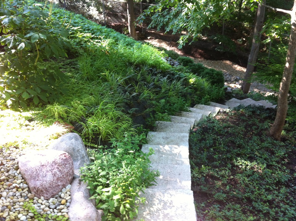 Ravine Restoration and Stabilization - Traditional - Landscape ...