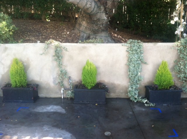 Real Husbands of Hollywood - Contemporary - Landscape - Los Angeles ...