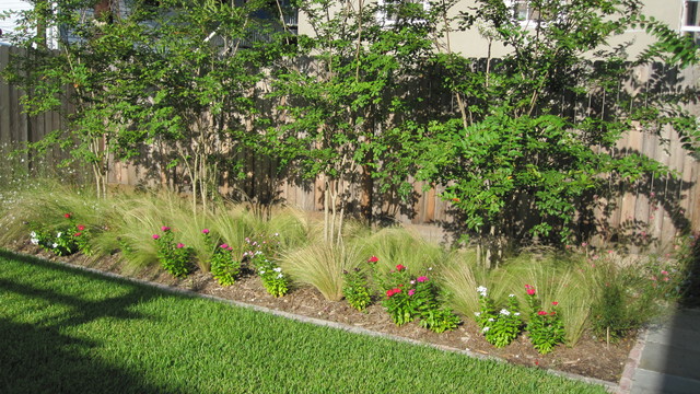 Red Field Gardens for an Arts and Crafts bungalow - Traditional ...