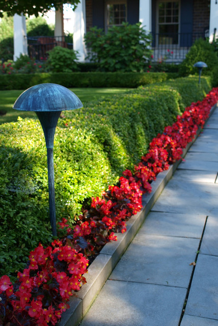 Red Flowers with Boxwood Hedges - Traditional - Garden - Chicago - by ...