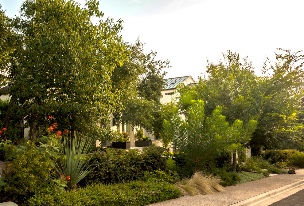 Regents Park - Contemporary - Landscape - Austin - by Powell Landscape ...