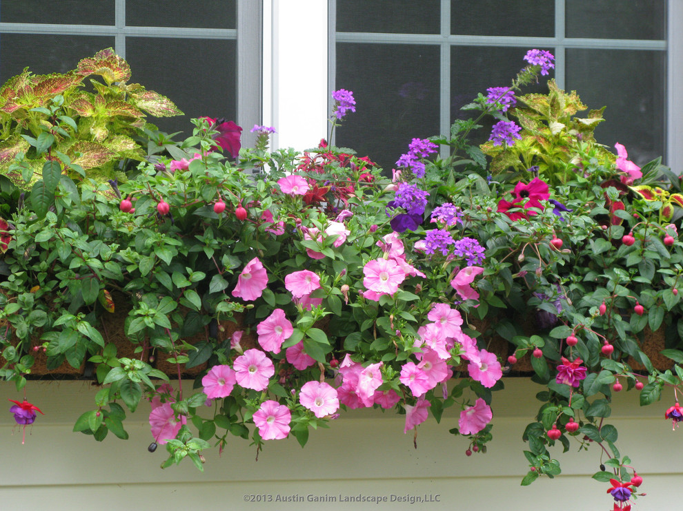 Reinventing the Classic Cape - Traditional - Landscape - New York - by ...