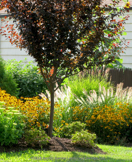 Reinventing the Classic Cape - Traditional - Landscape - New York - by ...