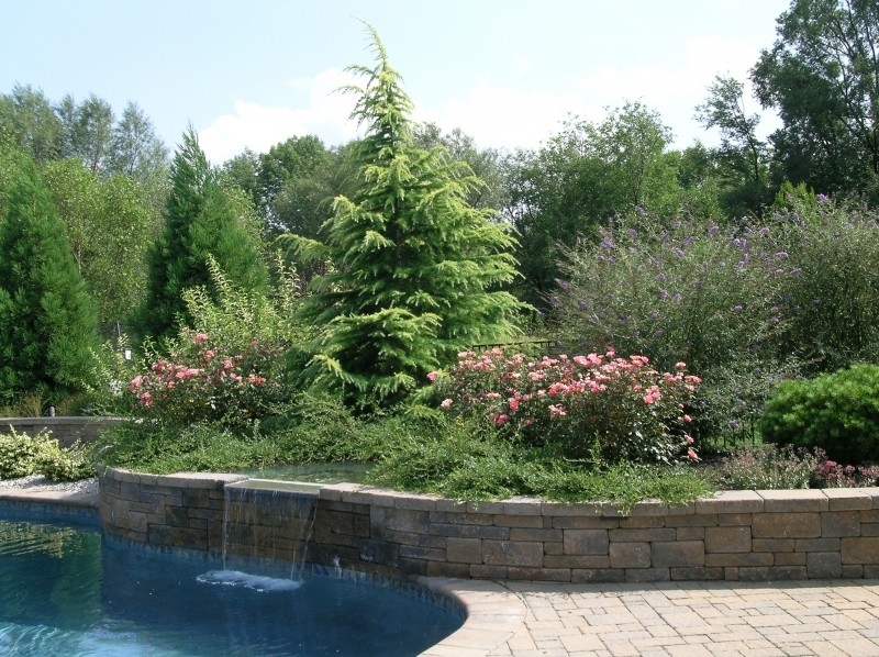 Retaining Wall with Waterfall into Pool - Contemporary - Landscape ...