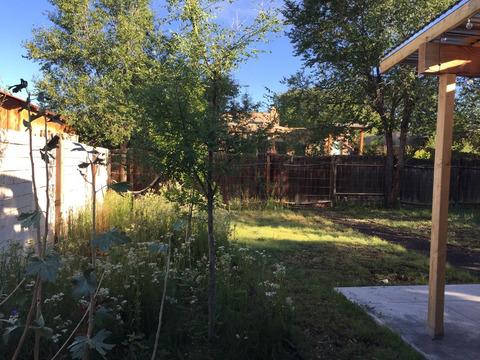 River Trail Home - Modern - Landscape - Albuquerque - by radicle | Houzz