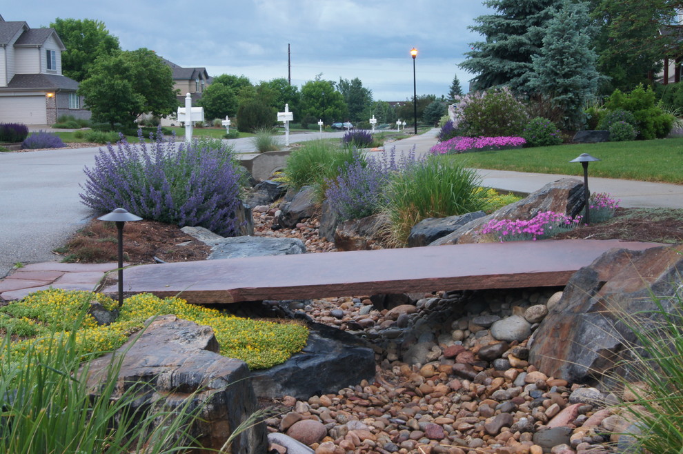 Canyon Living Landscaping Ideas