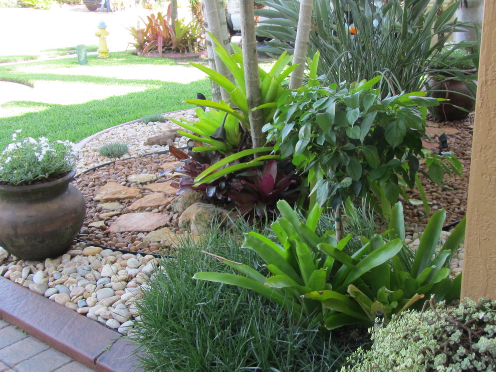Rock Garden - Tropical - Landscape - Miami | Houzz