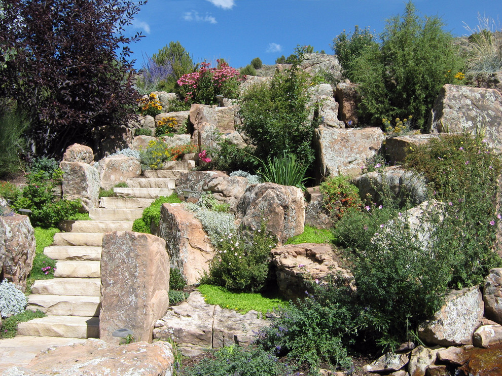 Rock Gardens - Landscape - Denver - by Colorado Alpines & Wildflower ...