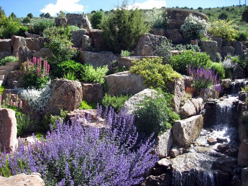 Rock Gardens - Landscape - Denver - by Colorado Alpines & Wildflower ...