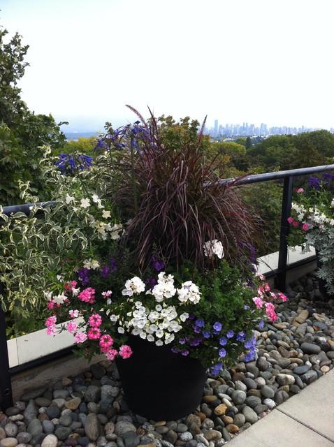 Rooftop Containers - Traditional - Garden - Vancouver - by Glenna ...