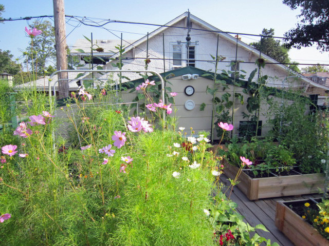 Rooftop Garden on Garage - Traditional - Landscape - Chicago - by Sheri ...