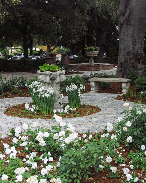 Rose Garden - Traditional - Garden - San Francisco - by Design Focus ...