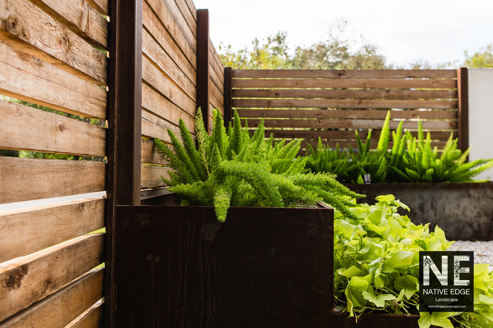 Rosedale Modern Courtyard - Modern - Landscape - Austin - by Native ...