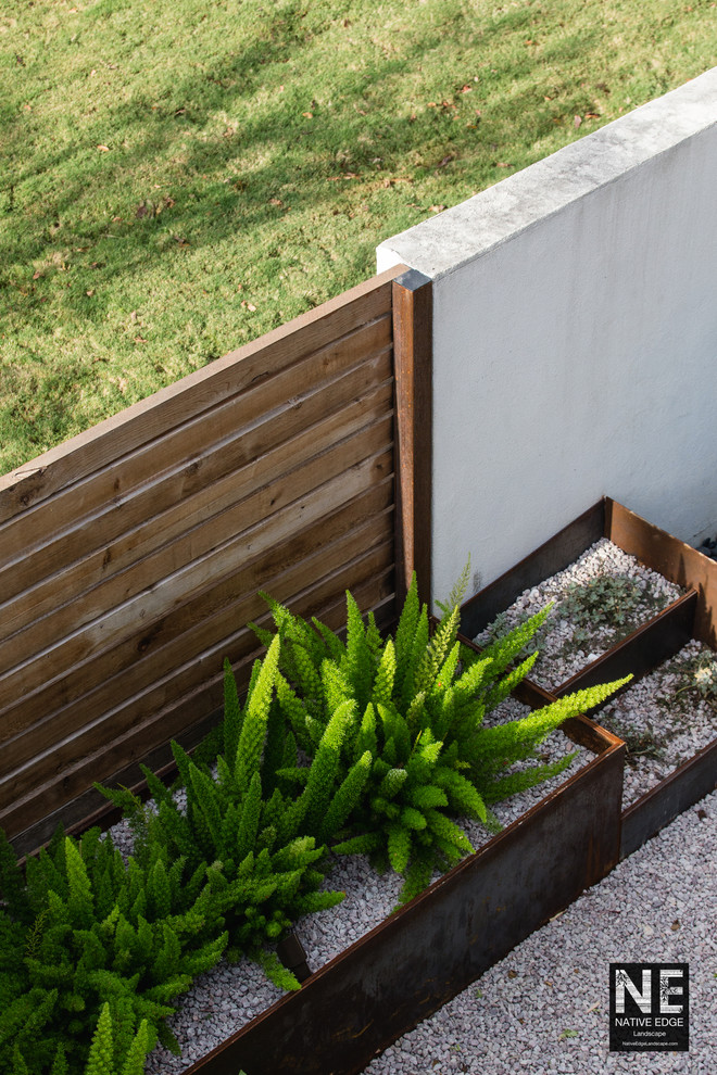 Rosedale Modern Courtyard - Modern - Landscape - Austin - by Native ...