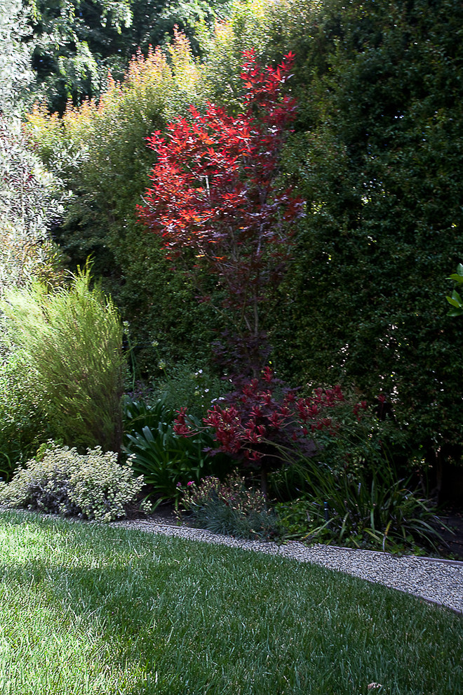 Rosita Garden - Traditional - Landscape - Los Angeles - by Minanda ...