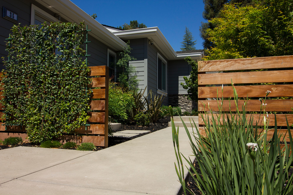 Round Hill - Modern - Landscape - San Francisco - by Ripley Design ...